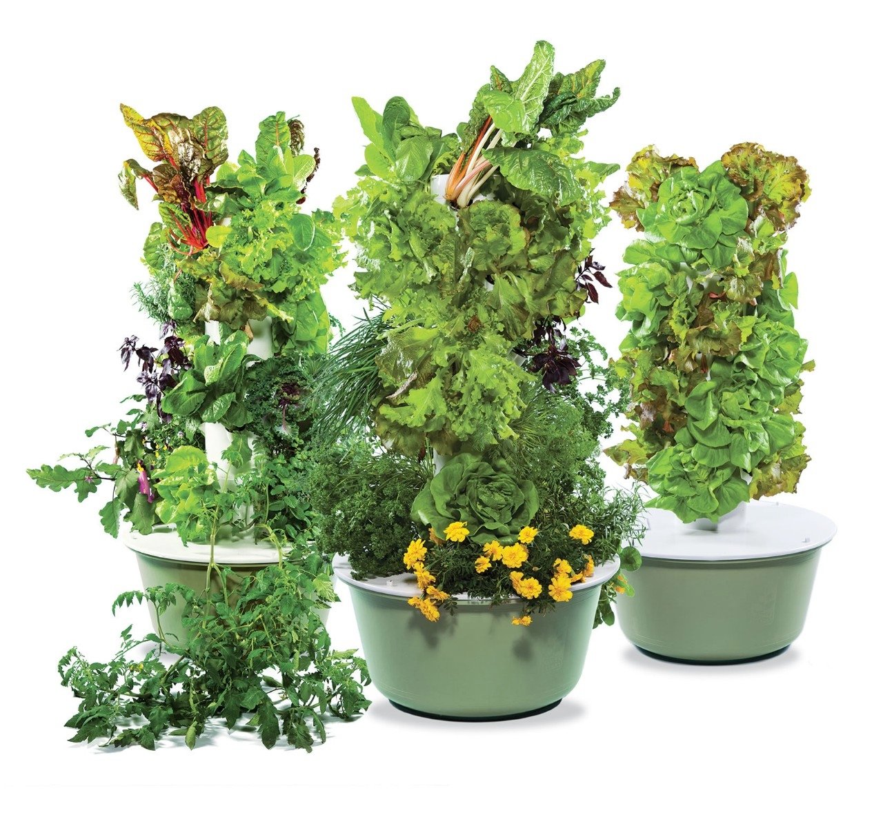 Let’s Get Growing! Plan Your Tower Garden! | Grow Your Health Gardening