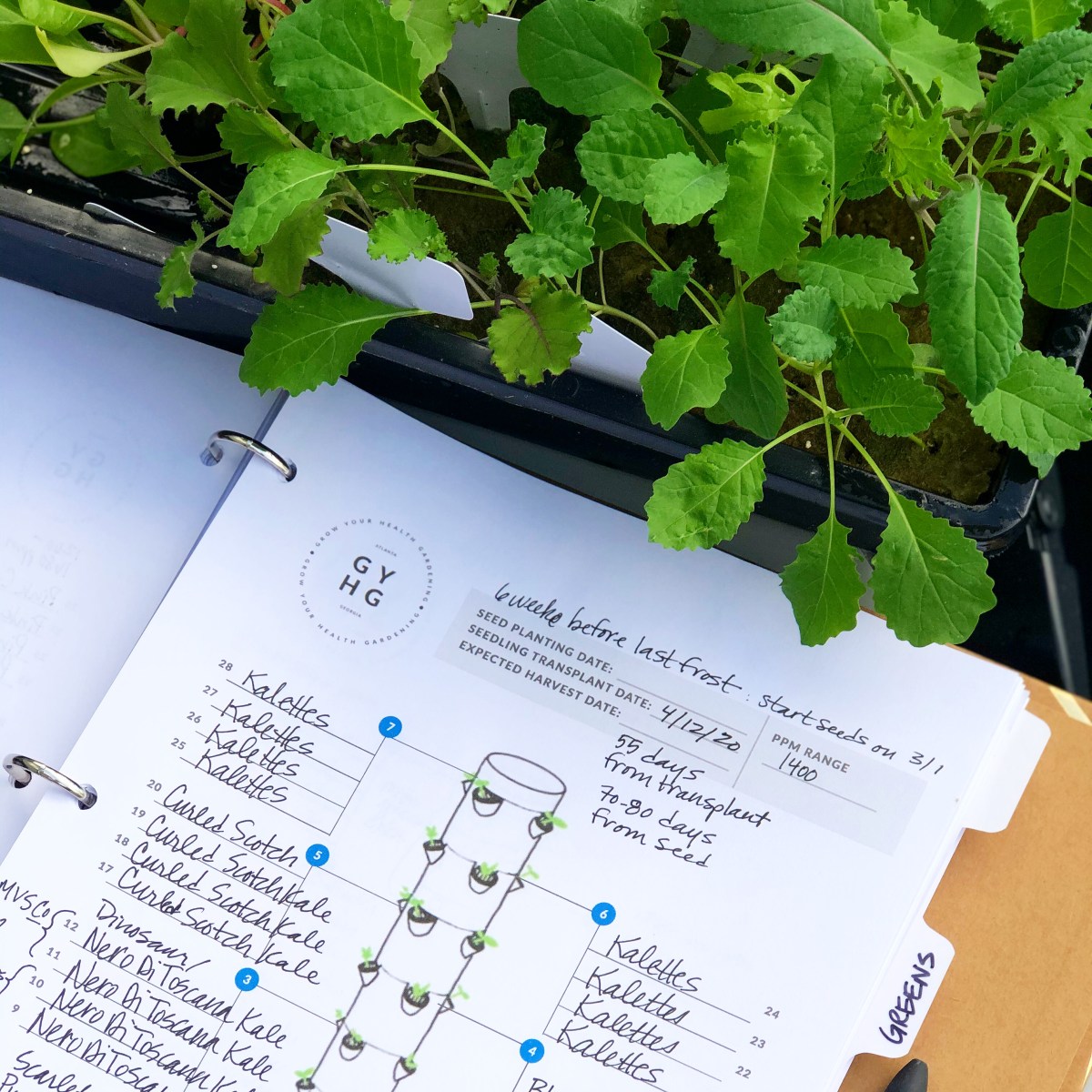 7 TIPS FOR THE MAKING OF A GOOD AND USEFUL seed label | Grow Your ...