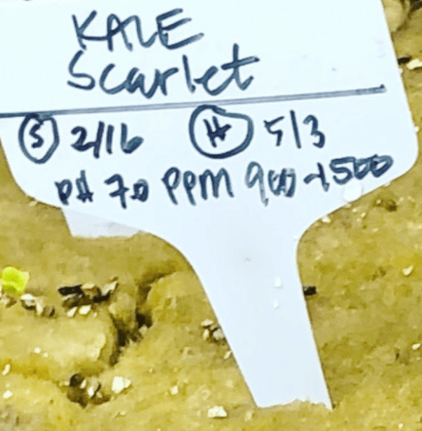 7 TIPS FOR THE MAKING OF A GOOD AND USEFUL seed label | Grow Your ...