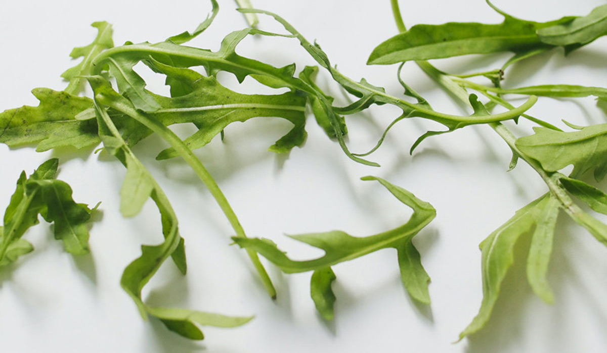 Grow Guide: Growing your own Arugula in a Hydroponic or Aeroponic Tower ...