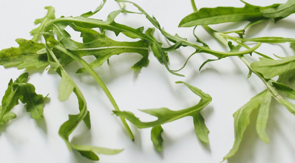 Grow Guide: Growing your own Arugula in a Hydroponic or Aeroponic Tower ...